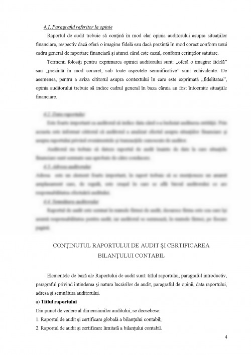 Referat: Raportul de Audit (#418453)