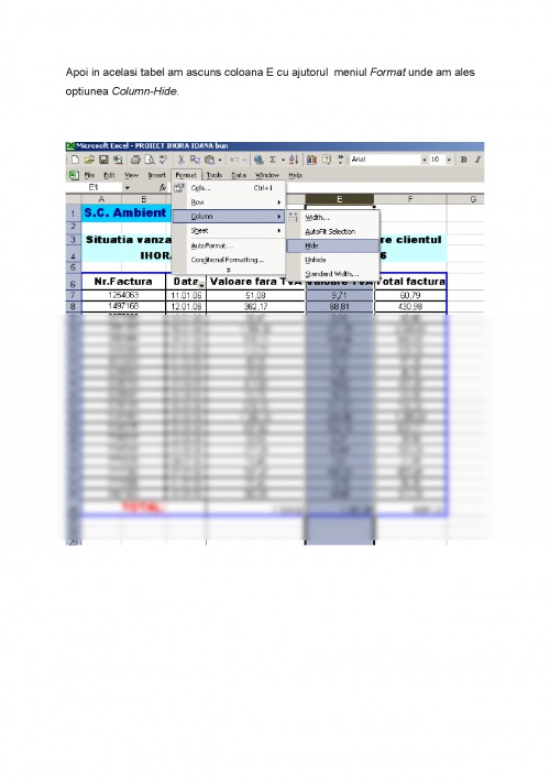 Referat: Proiect Excel (#420218)