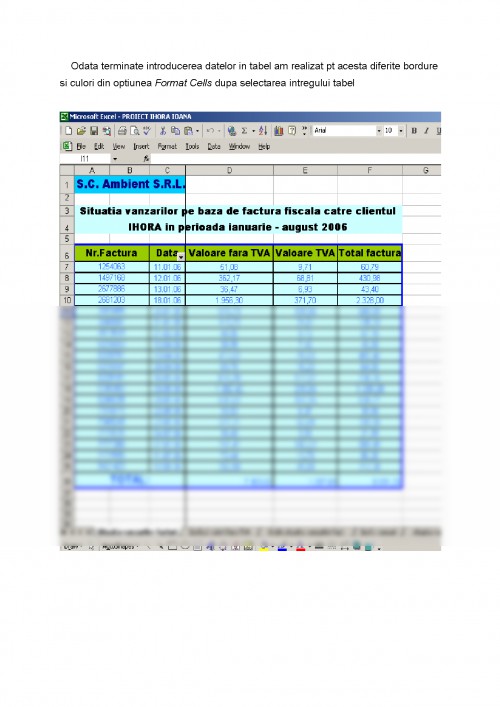 Referat: Proiect Excel (#420218)
