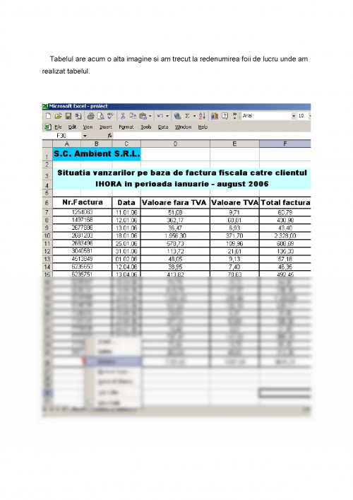 Referat: Proiect Excel (#420218)