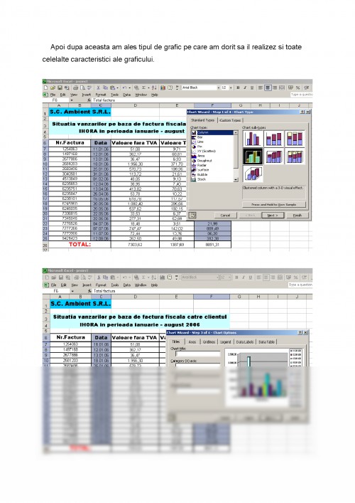 Referat: Proiect Excel (#420218)