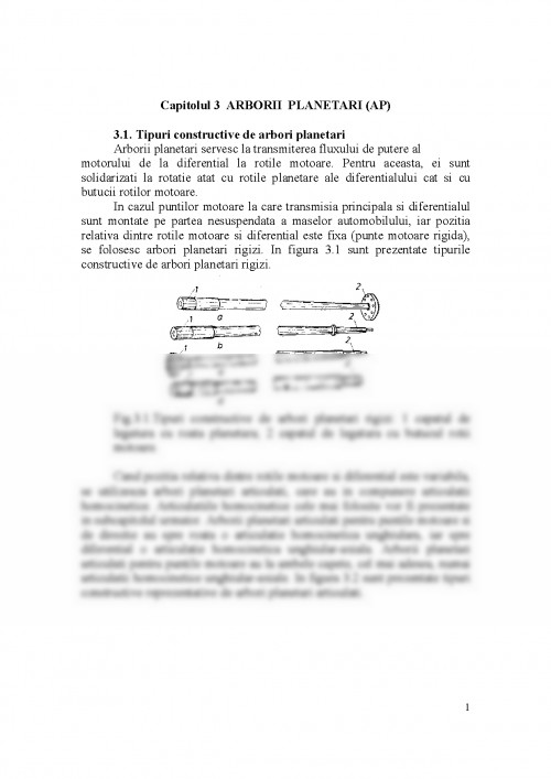 Curs: Arbori Planetari (#421347)