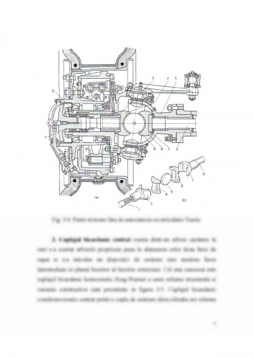 Curs: Arbori Planetari (#421347)