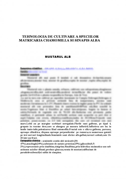 Referat: Tehnologia de cultivare a speciilor matricaria chamomilla și ...