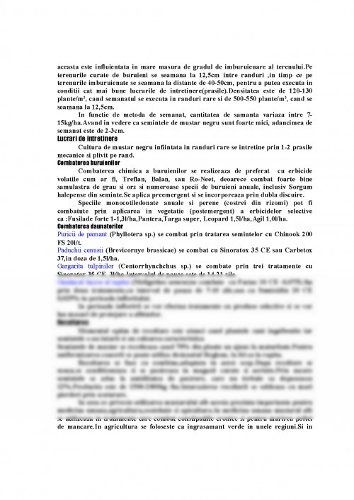 Referat: Tehnologia de cultivare a speciilor matricaria chamomilla și ...