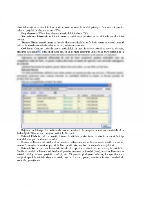 Referat: Saga Software (#427566)