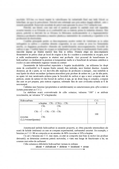 Referat: Combustibili Lichizi (#428323)