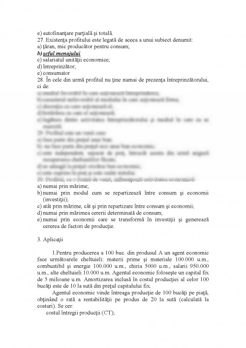 Referat: Profitul (#429168)