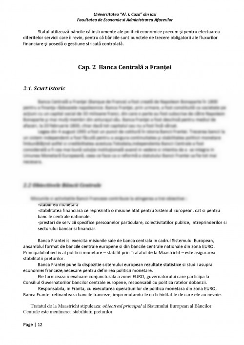 Referat: Sistemul bancar din Franța (#432953)