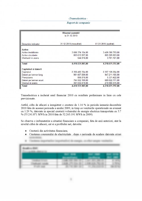 Referat: Transelectrica - Raport de Companie (#434158)