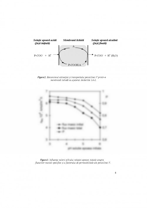 Referat: Penicilina (#438373)