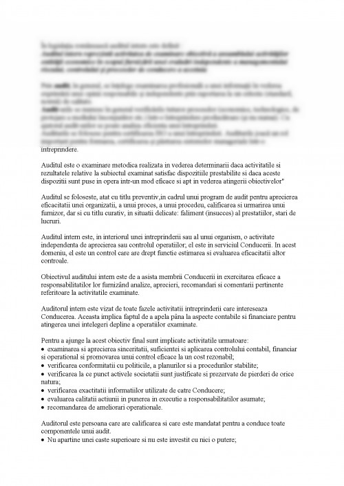 Referat: Audit Intern (#439118)