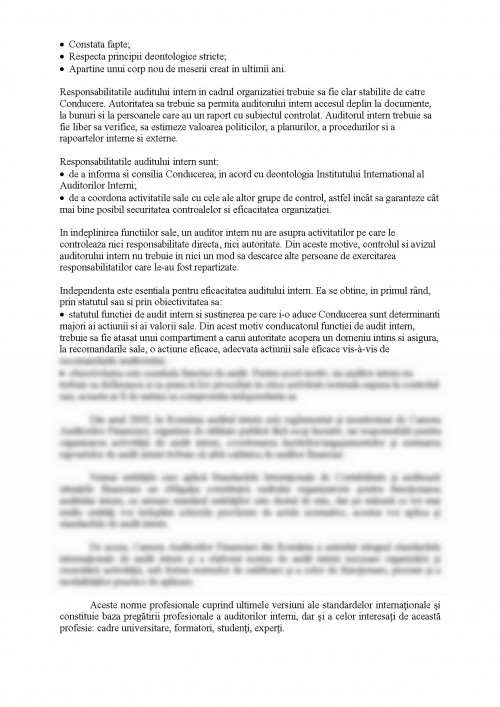 Referat: Audit Intern (#439118)