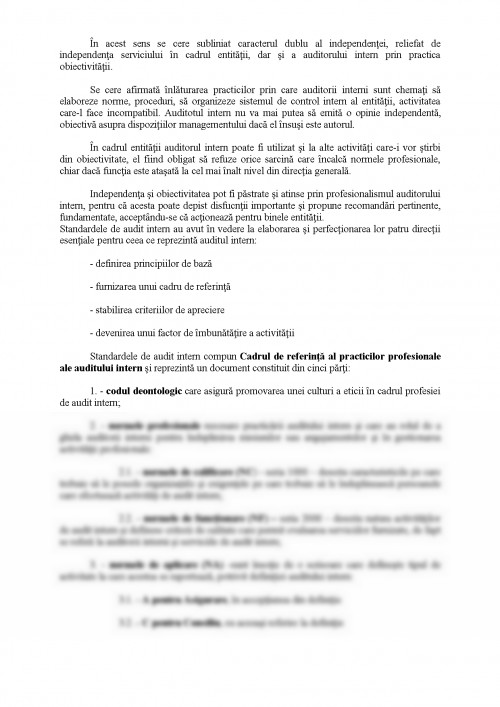 Referat: Audit Intern (#439118)