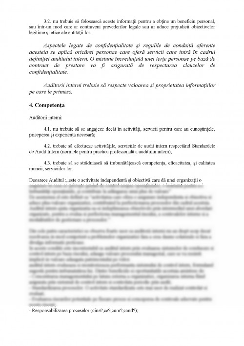 Referat: Audit Intern (#439118)