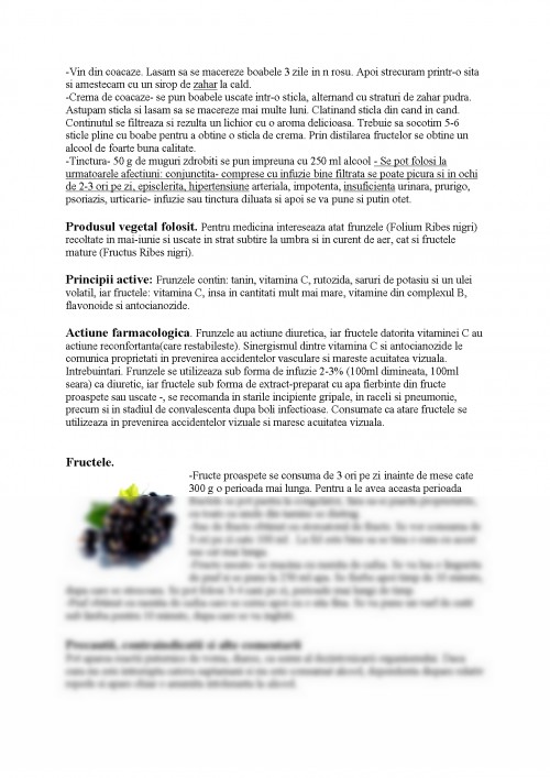 Referat: Coacăzul negru (#442326)