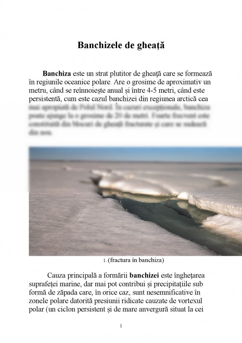 Referat: Banchizele de gheață și icebergurile (#443751)