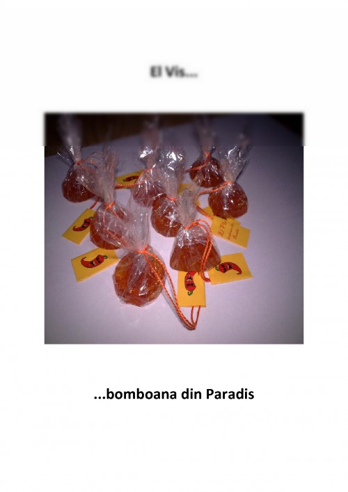 Referat: Produse de caramelaj tari - dropsuri el vis (#446681)