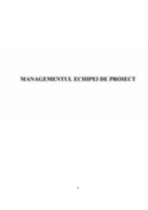 Referat: Managementul Echipei de Proiect (#447968)
