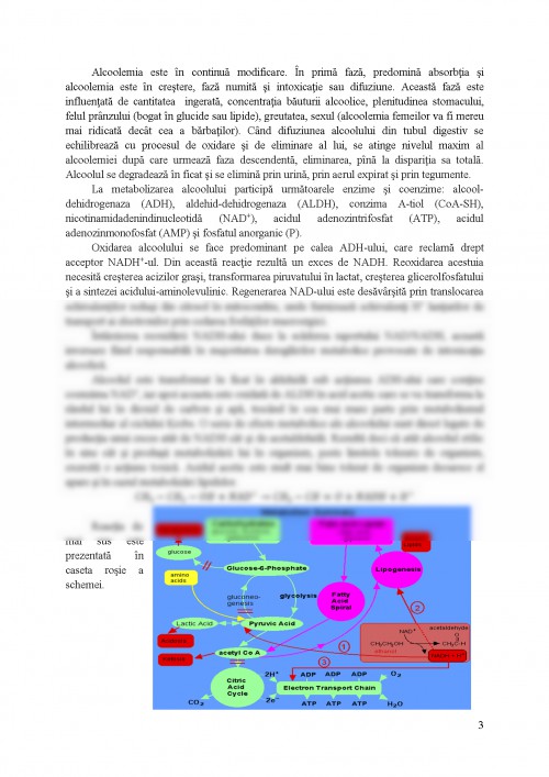 Referat: Efectele Alcoolului (#449024)