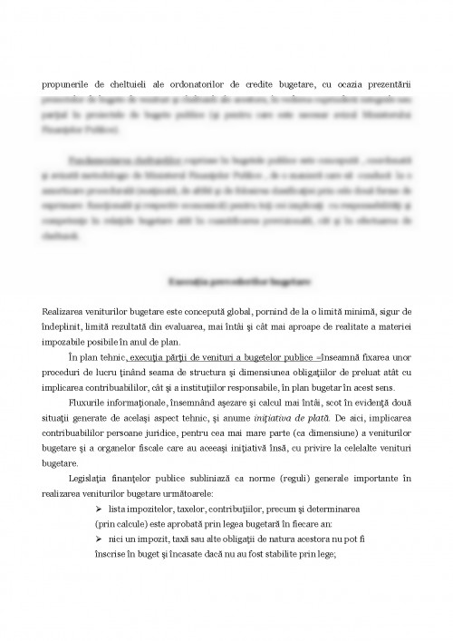 Referat: Procesul Bugetar din România (#449149)