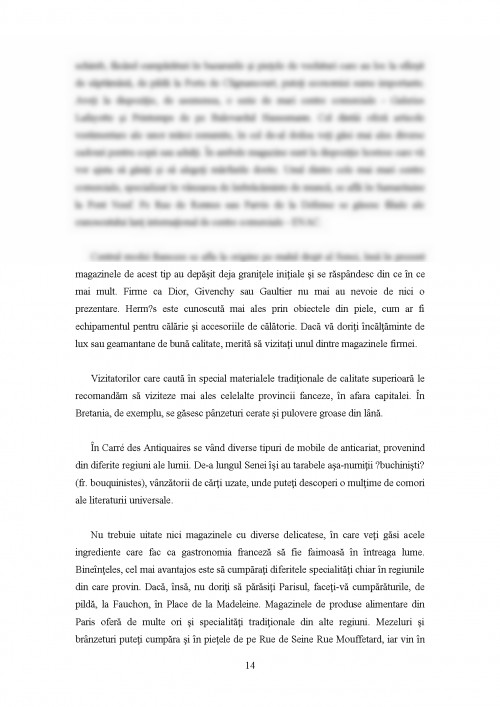 Referat: Cumpărăturile în Franța (#451218)