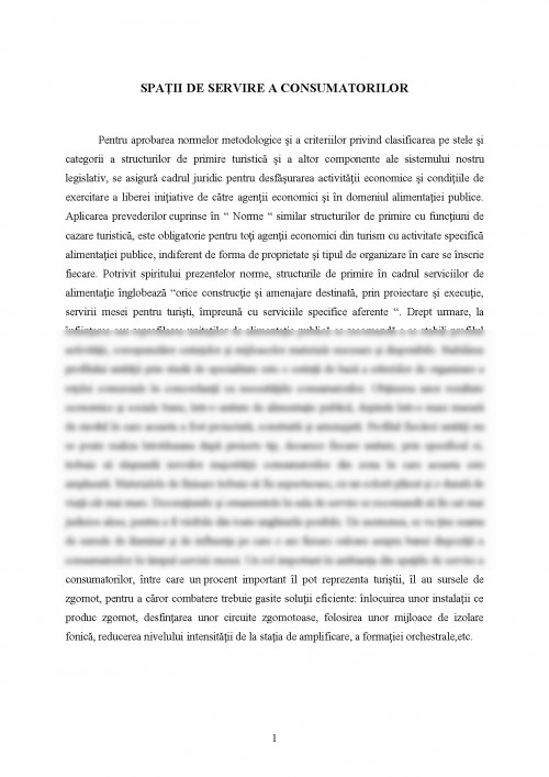 Referat: Spații de Servire a Consumatorilor (#452466)