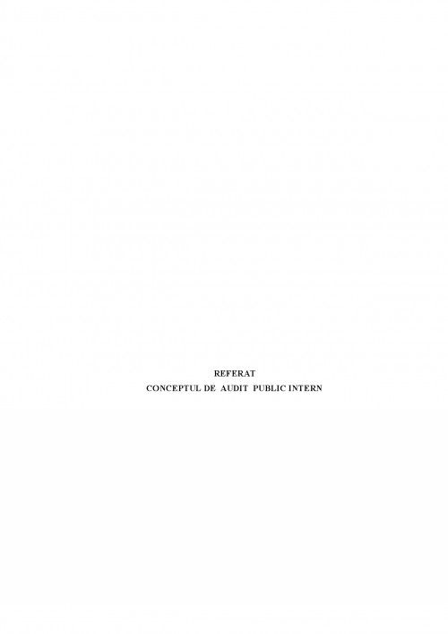 Referat: Conceptul de Audit Public Intern (#453751)