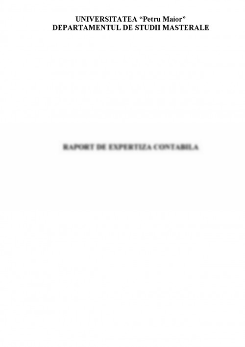 Referat: Raport de expertiză contabilă (#454344)