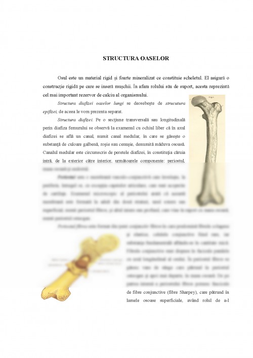 Referat: Structura oaselor (#462730)