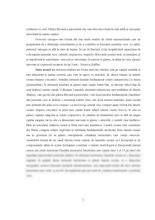 Referat: Structura oaselor (#462730)