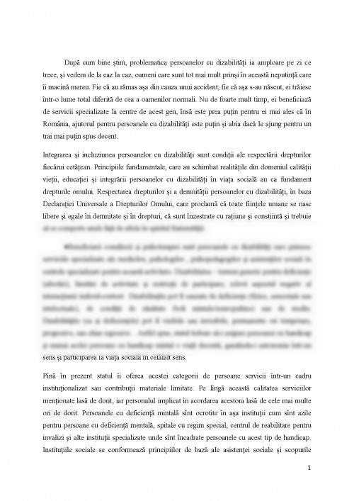 Referat: Persoanele cu Dizabilități (#462922)