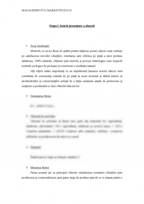 Referat: Managementul Marketingului (#466905)