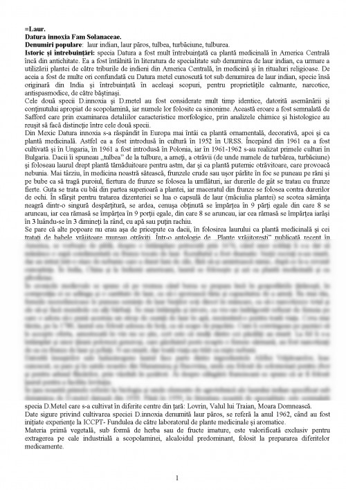 Referat: Laur (#469851)