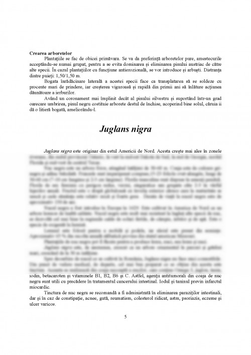 Referat: Pinul Negru (#471085)