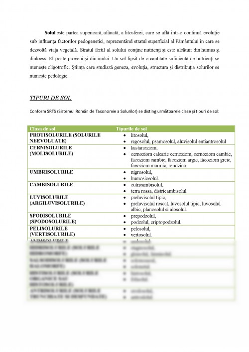 Referat: Nigrisolul (#476529)