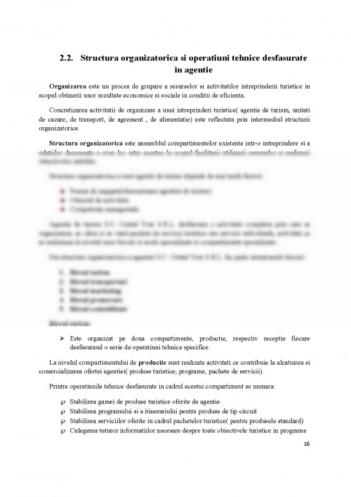 Atestat: Agenție de turism (#480994)