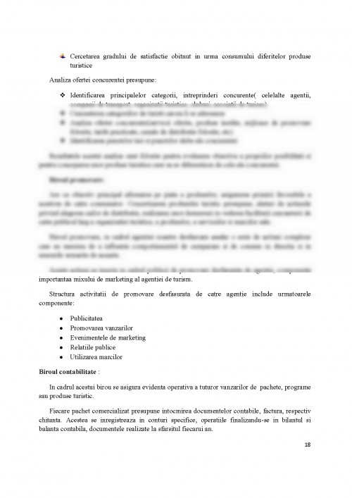 Atestat: Agenție de turism (#480994)