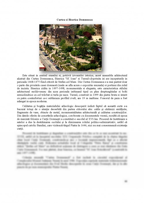 Atestat: Agenție de turism (#480994)