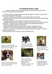 Referat: Curiozități despre Câini (#288257)