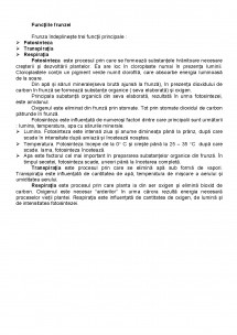 Referat: Frunza (#322706)