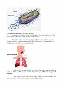 Referat: Importanța bacteriilor în viața omului și a planetei (#323796)