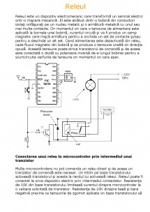 Referat: Releul (#325085)
