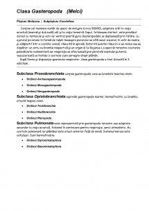 Referat: Clasa gasteropodă melci (#329414)