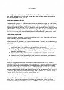 Referat: Ornitorincul (#331168)