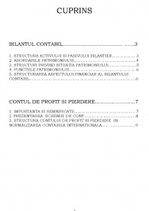 Referat: Bilanțul contabil, contul de profit și pierdere (#348736)