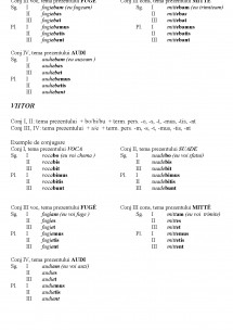 Curs: Conjugarea verbului în limba latină (#363718)